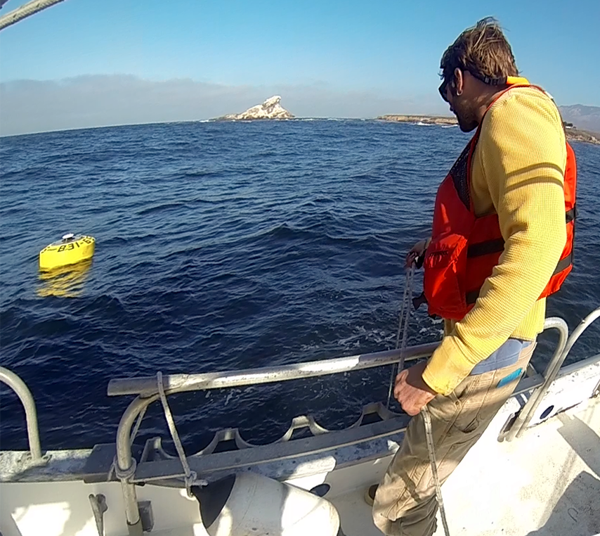 A Wired Ocean? How Big Data Is Saving Marine Predators